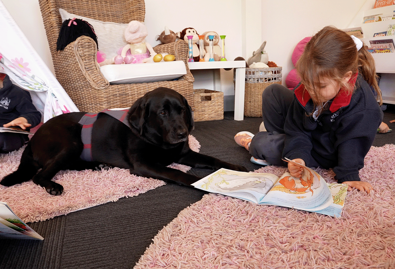 The rise of wellbeing dogs in Independent schools