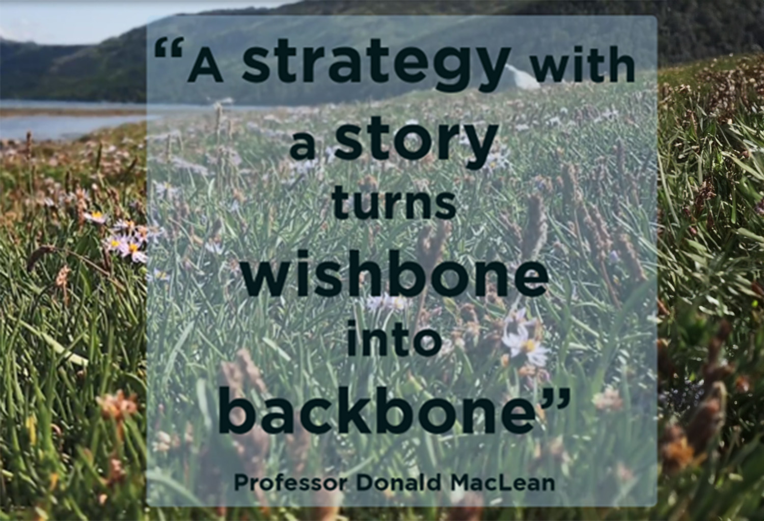 So what exactly is strategy… and why does it matter?